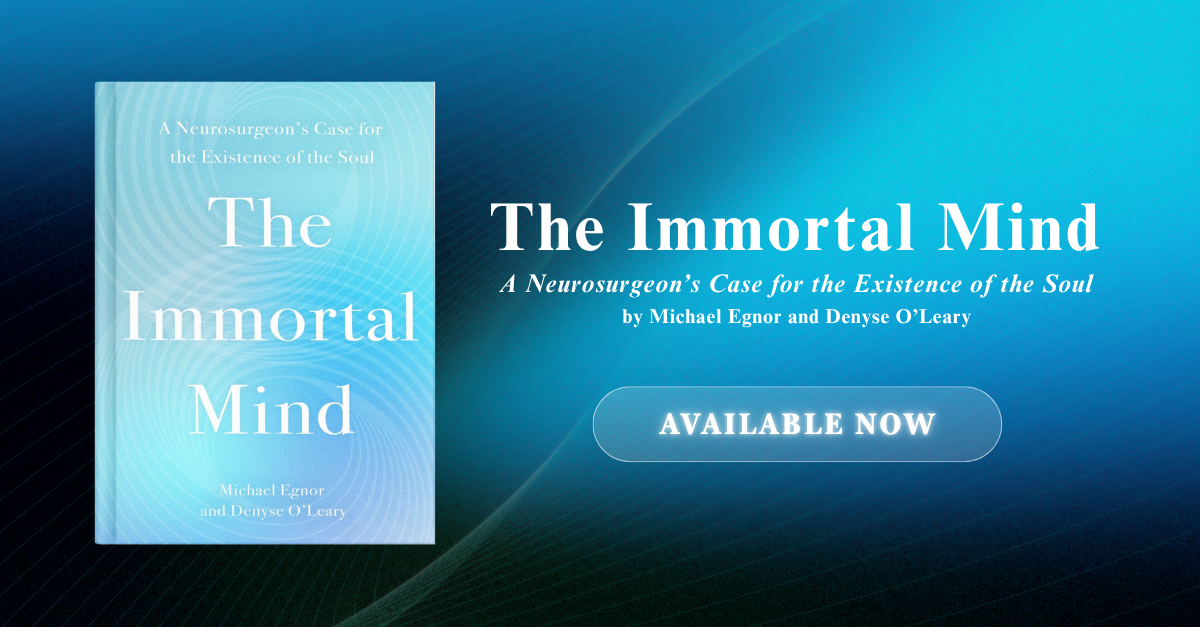 The Immortal Mind | A Neurosurgeon’s Case for the Existence of the Soul